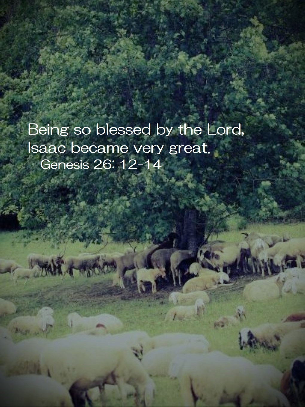 Genesis 26:12-14: wisdom of the Creator 創造主の叡智