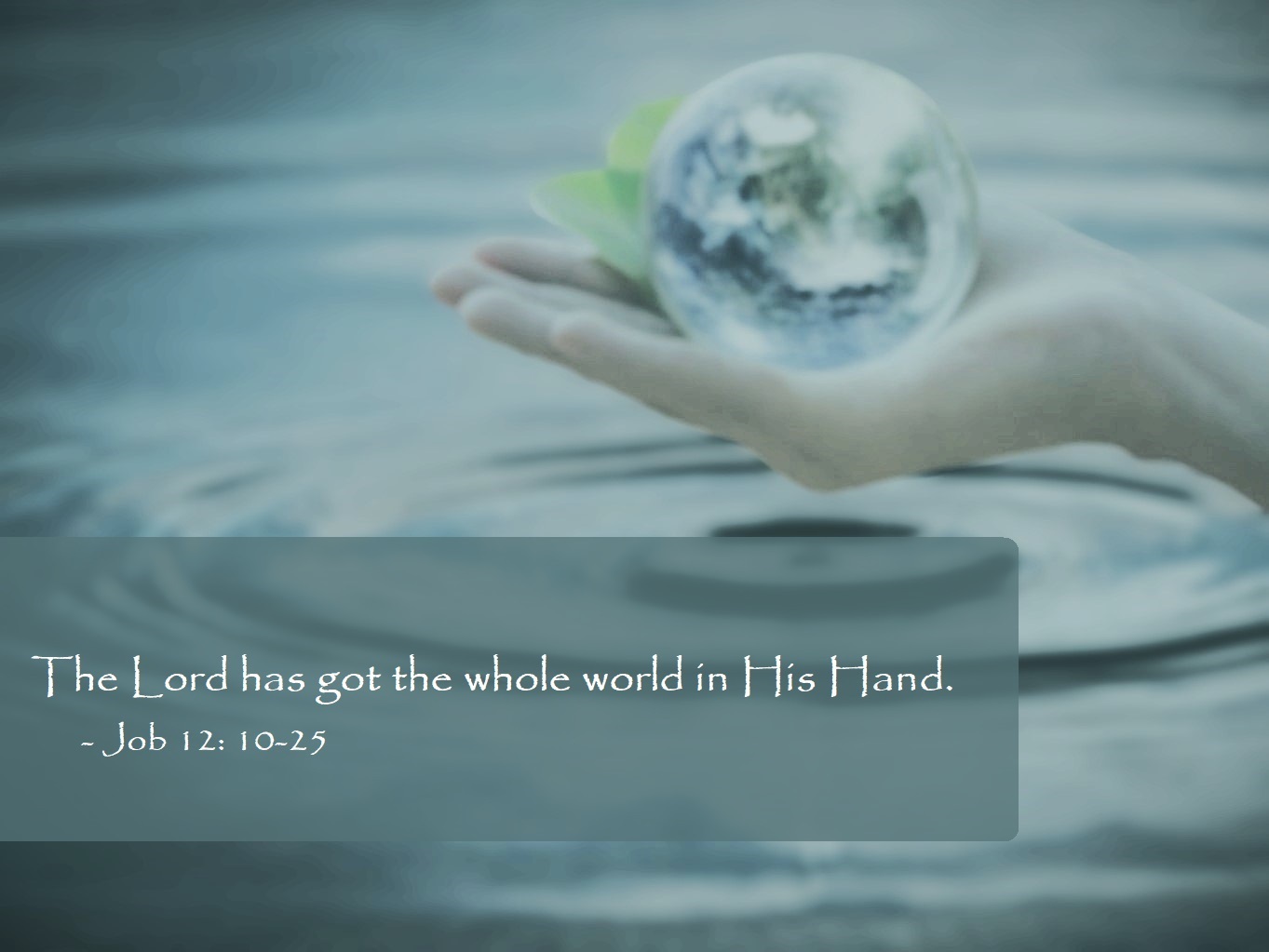 Job 12: 10-25 : wisdom of the Creator 創造主の叡智