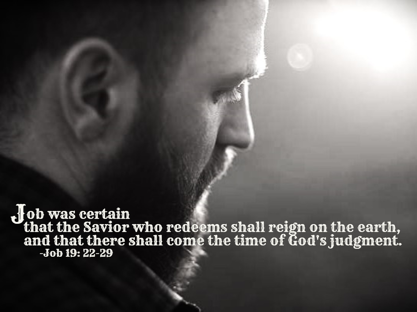 Job 19: 22-29: wisdom of the Creator 創造主の叡智