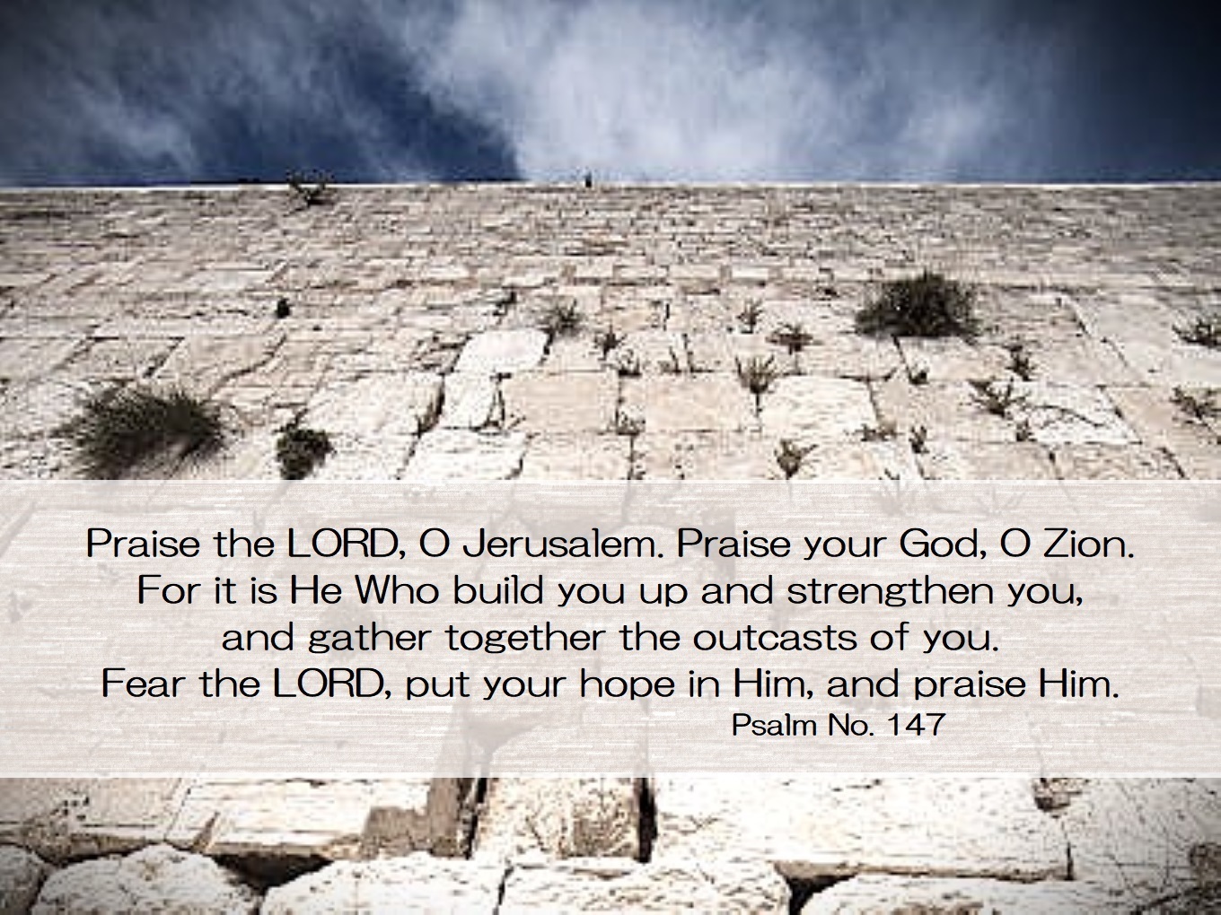 Psalm number 147(verses 1-20): wisdom of the Creator 創造主の叡智