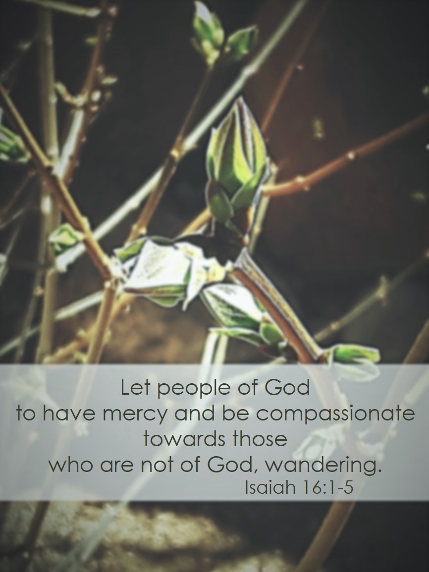 Isaiah 16:1-5: wisdom of the Creator 創造主の叡智